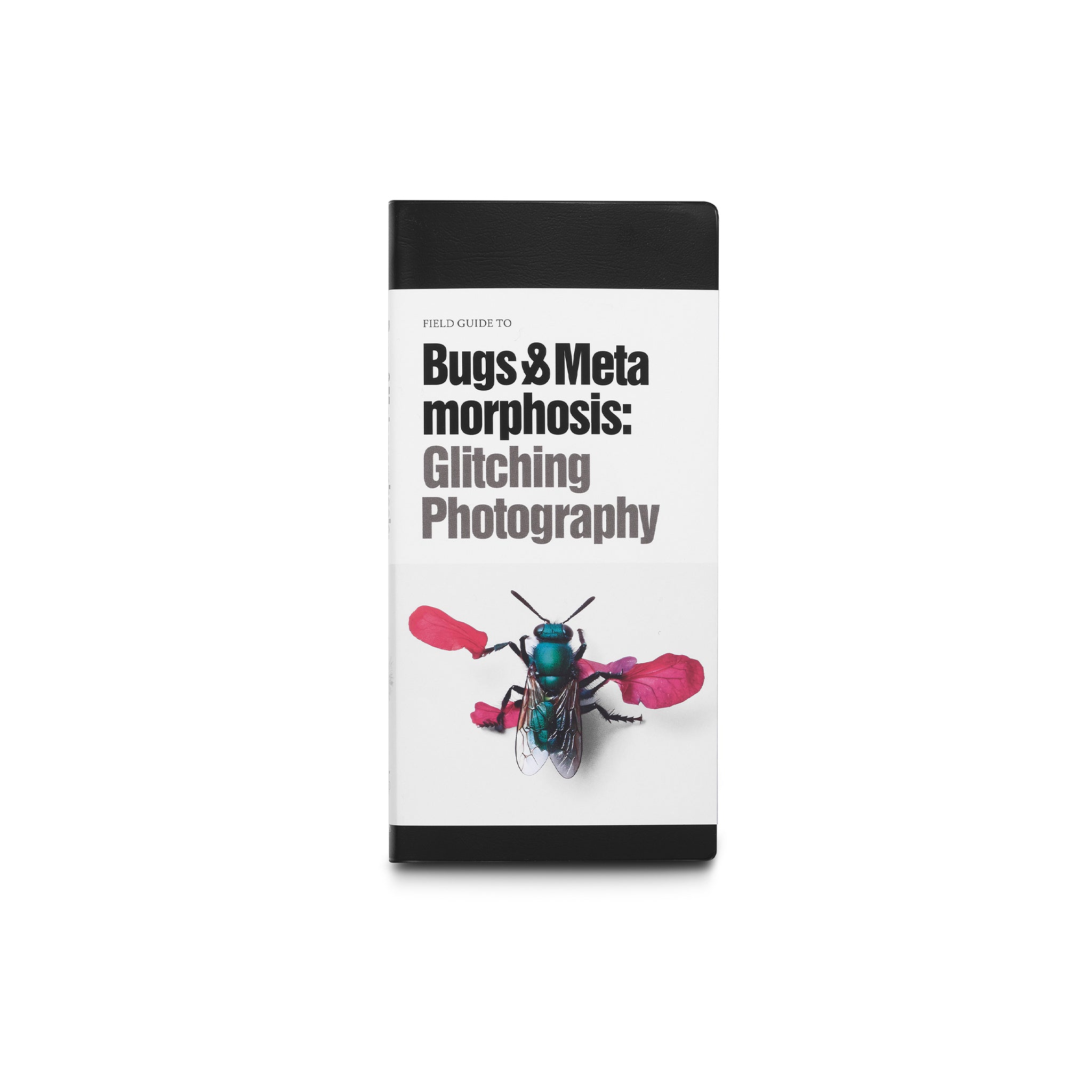 FIELD GUIDE TO BUGS & METAMORPHOSIS: GLITCHING PHOTOGRAPHY – Art ...